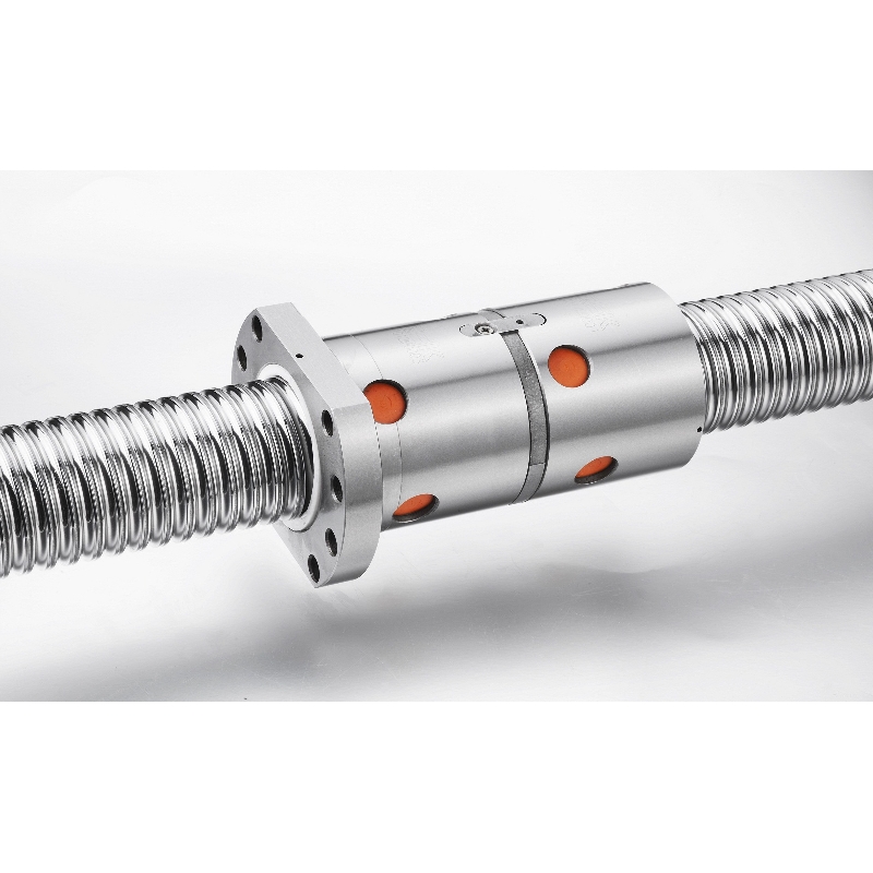 NingBo Rolling Stone Motion Controltek Co., Ltd - Double nut DFI